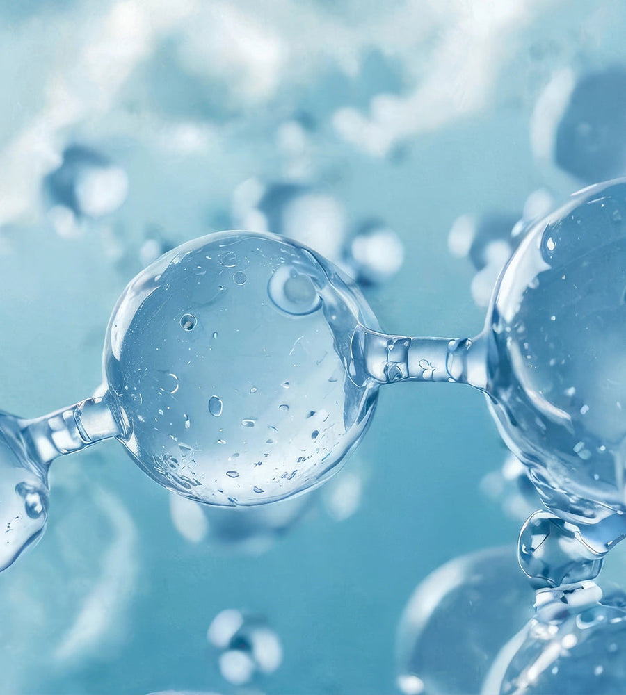 About True Hydration – True Hydration